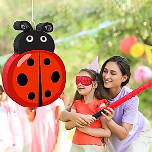 Pasimy Ladybug Piñata with Blindfold Bat Confetti Ladybug Party Decorations Ladybug Birthday Party Supplies Summer Parties Game Insect Party PiñataCarnival Decorations, 16 x 11.8 x 2.9 Inches