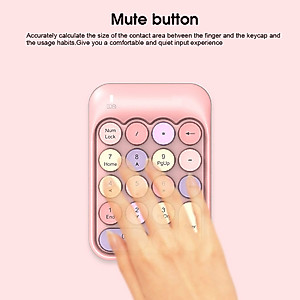 S erounder Wireless Numeric Keypad, Mini Digital Numpad 18 Keys Ergonomic Number Pad Keyboard with 2.4G USB Receiver & Cholate Keycap for LaptopPCDesktop(Pink)