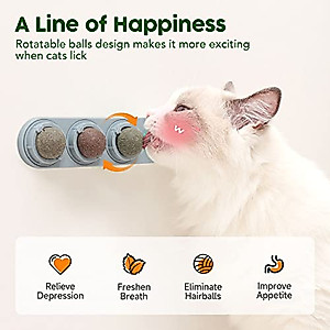 Potaroma 4 Pcs Catnip Toys, Silvervine Balls, Extra Cat Energy Ball, Edible Cats Lick Toys, Healthy Kitten Chew, Teeth Cleaning Dental Cat Balls, Cat Wall Treats, More Concentrated Flavors