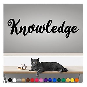 Transform Your Walls with Professional Grade, Outdoor Weatherproof Vinyl Stickers - Happy Sunday - UV Resistant, Made in The USA! Inspirational Words: Knowledge: 14 Inch, Satin Silver