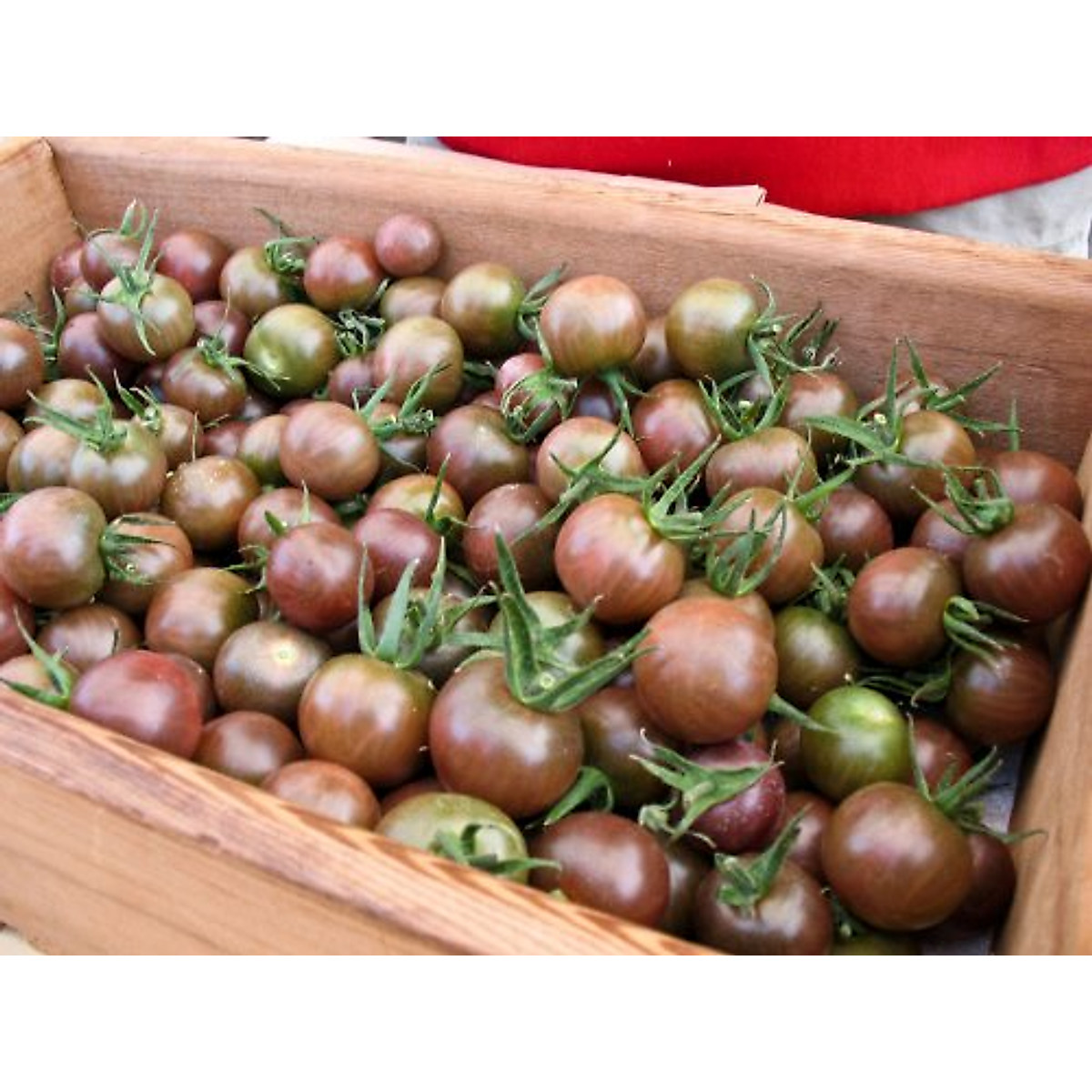 30+ Chocolate Cherry Heirloom Tomato Seeds- by Ohio Heirloom Seeds