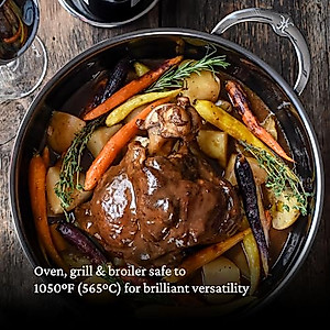 Hestan - NanoBond Collection - Titanium All-In-One Pan, Induction Cooktop Compatible, 5 Quart