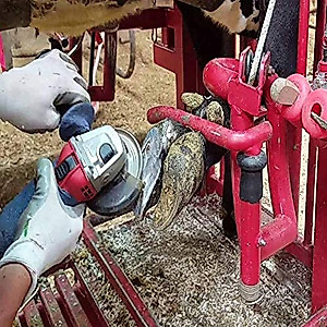 Aslion Hoof Trimming Disc for Horses Goats, Professional Electric Hoof Repair Tool High Working Efficiency and Durable - 6 Tooth Design