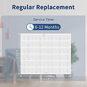 115115 HEPA Replacement Filter A for Winix PlasmaWave Air Purifier C535, 5300, 6300, 5300-2, 6300-2, P300, 2 Pack True HEPA Size 21 Filter