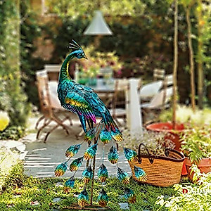 Kircust Metal Peacock Garden Statue and Sculpture, Peacocks Yard Art Lawn Ornament for Outdoor Backyard Porch Patio Decor(1-Piece)