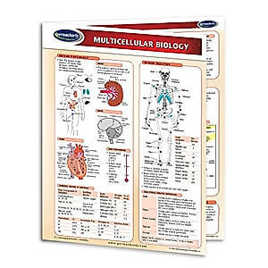 Permacharts Nursing, BSN, Registered Nursing Year 1 Curriculum Essential Quick Reference Guides - 20 Chart Bundle Medical Nursing Charts Bundle
