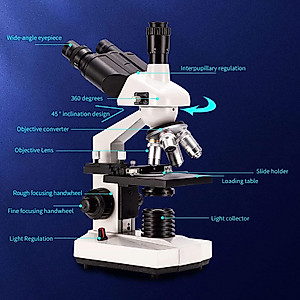 40X-2000X Compound monocular Microscope with Microscope Slide Set, Cell Phone Adapter, Dual LED Illumination Powerful School Home Education biomicroscope， 2MP USB Camera