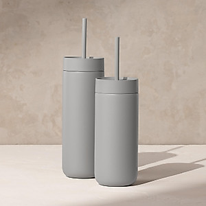 Fellow 20 oz Carter Cold Water Bottle for Water, Iced Tea, Coffee, Smoothies, Iced Coffee & more - Stainless Steel Vacuum-Insulated Iced Coffee tumbler with Spill Resistant lid and straw - Matte Grey