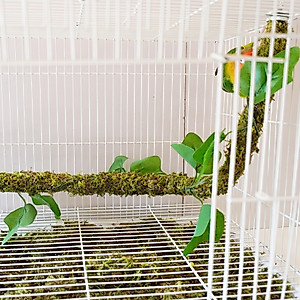 Begeterday 25 Inch Bendable Bird Perches, Bird Toys, Ideal Bird Cage Accessories