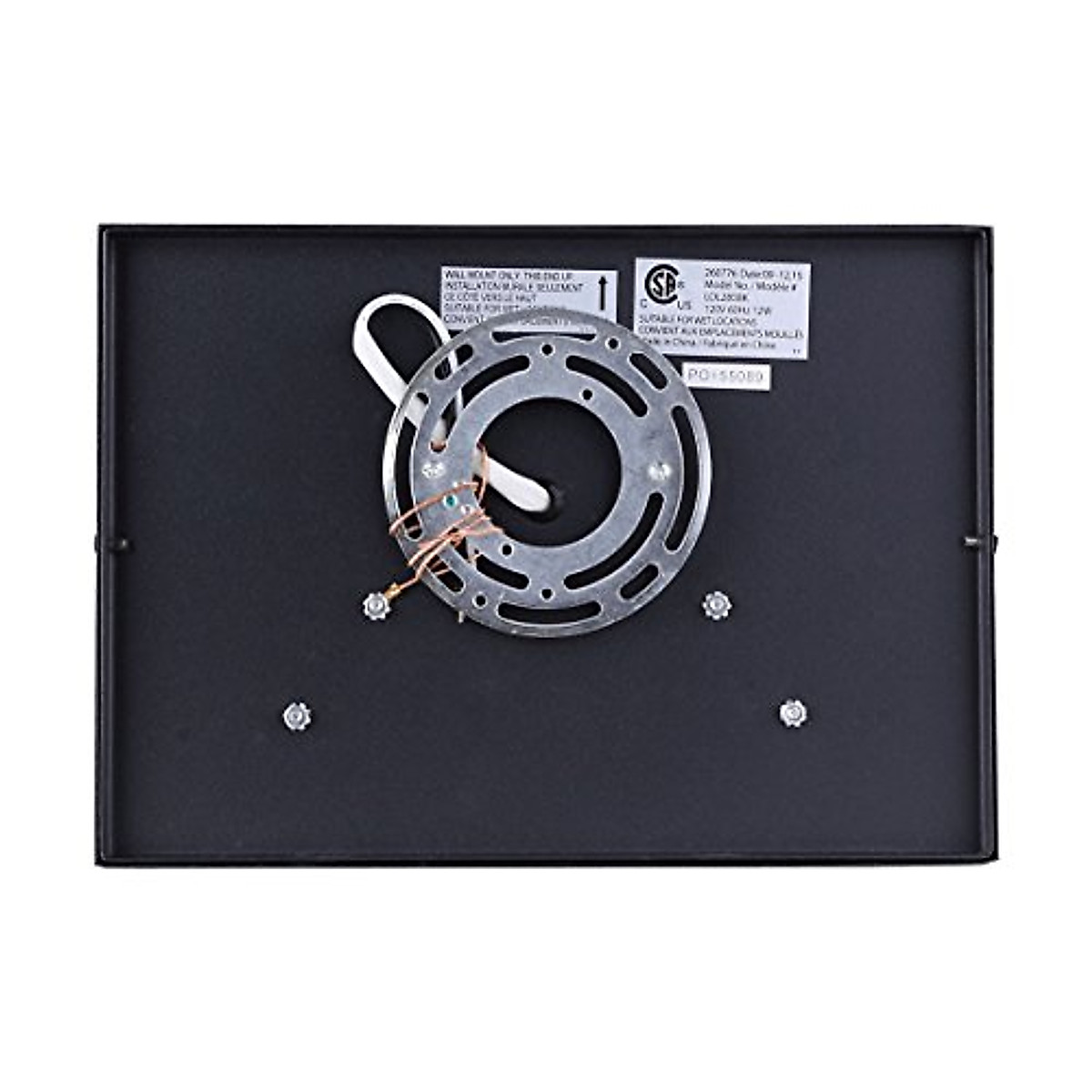 Amazon Brand - Rivet CANARM LTD Kit Integrated LED Outdoor Light Black with Frosted Glass