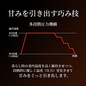 TIGER JPL-H100-KG [Earthen Pot Pressure IH Jar Rice Cooker, Freshly Cooked, Earthen Pot Foam Fire Cooker, 5.5 Cups, Graphite Black] 100V