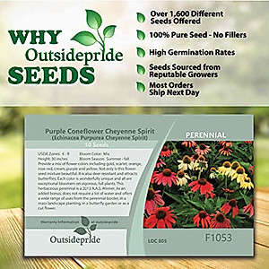 Outsidepride Echinacea Purpurea Purple Coneflower Cheyenne Spirit Garden Cut Flower Seed Mix - 20 Seeds
