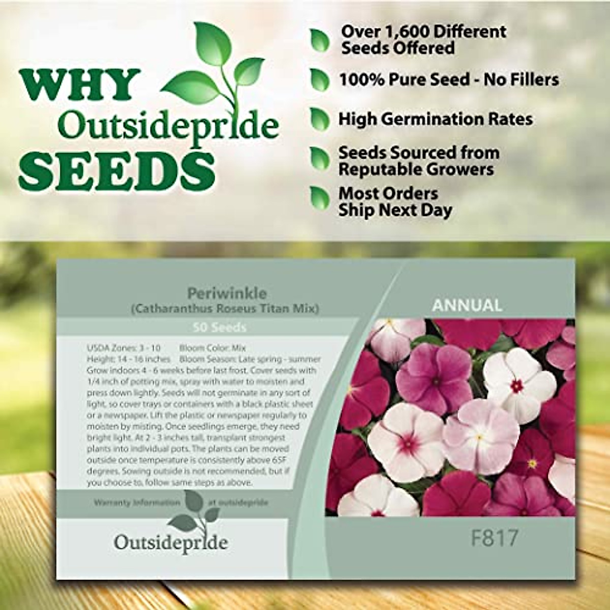 Outsidepride Vinca Periwinkle Titan Garden Flower, Ground Cover, & Container Plant Mix - 50 Seeds