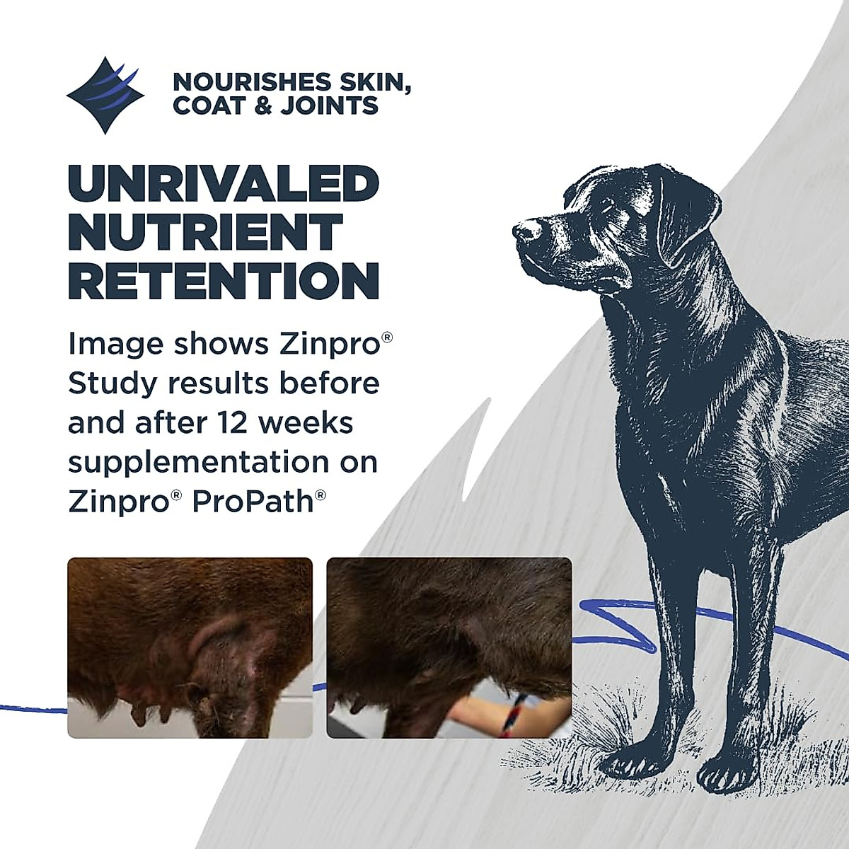 Blackwood Grain Free Dry Dog Food, Chicken & Field Pea Recipe, 10 Pound Bag for All Life Stages, Slow Cooked with Vitamins & Minerals for a Balanced Diet