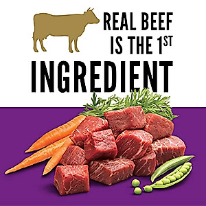 CESAR Small Breed Dry Dog Food Filet Mignon Flavor with Spring Vegetables Garnish Dog Kibble, 12 lb. Bag