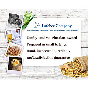 LAFEBER'S Classic Nutri-Berries Pet Bird Food, Made with Non-GMO and Human-Grade Ingredients, for Cockatiels (4 lb)
