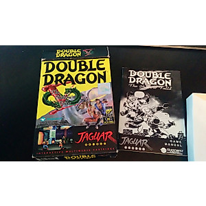 Double Dragon 5: The Shadow Falls