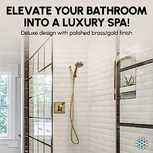 ShowerMaxx, Luxury Spa: ImperialShine Gold Hand Held Shower Head, 4.5 inch 6 Spray Setting Handheld Showerhead with Extra-Long Hose, Experience Comfort and Elegance (Polished Brass/ImperialShine Gold)