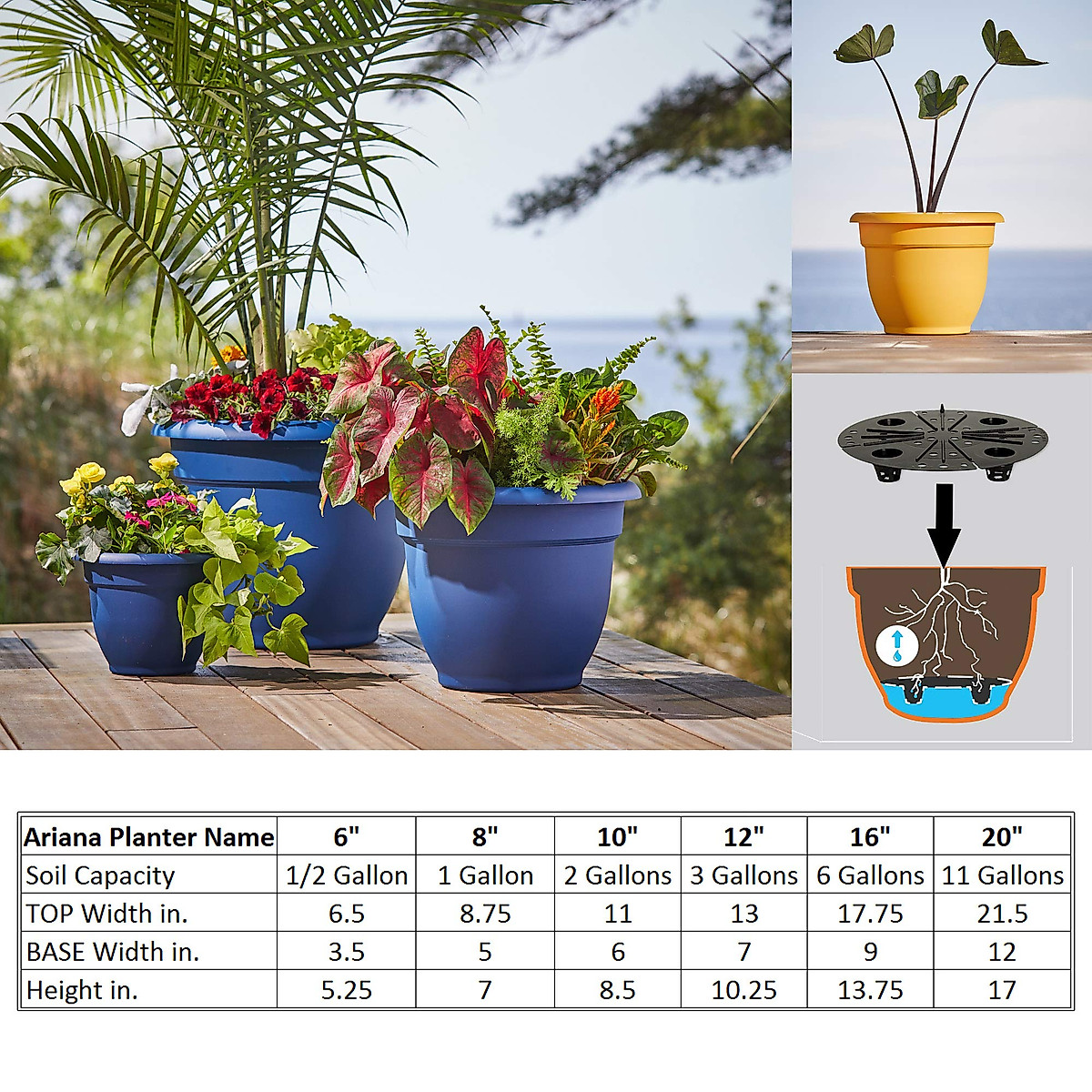 Bloem Ariana Self Watering Planter 8" Classic Blue (AP0833)