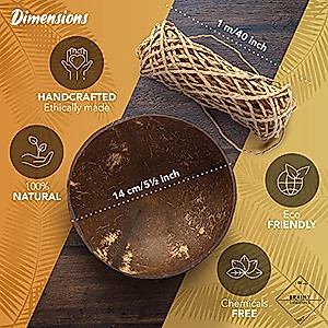 BRAINY ESSENTIALS Natural 100% Hanging Real Coconut Pot Planter - Perfect for Indoor and Outdoor Decoration, Bonsai, Flowers, Herbs - Handcrafted 100% Natural, Made of Real Coconut Bowls