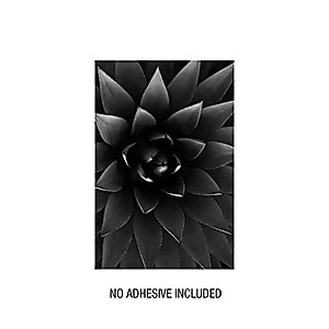 GSM Brands Wall Collage Kit Black and White Aesthetic Pictures Set of 100 4x6 inch Individual Photos for Teen College Dorm Room