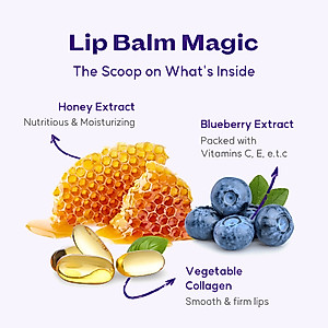 WELCOS FRUDIA Honey Lip Balm – Blueberry | Lip Exfoliating, Moisturizing & Volumizing Dewy Tinted Lip Balm | Organic Lip Balm for Dry & Chapped Lips w/Jeju Blueberry and Honey Extracts (0.33 oz)