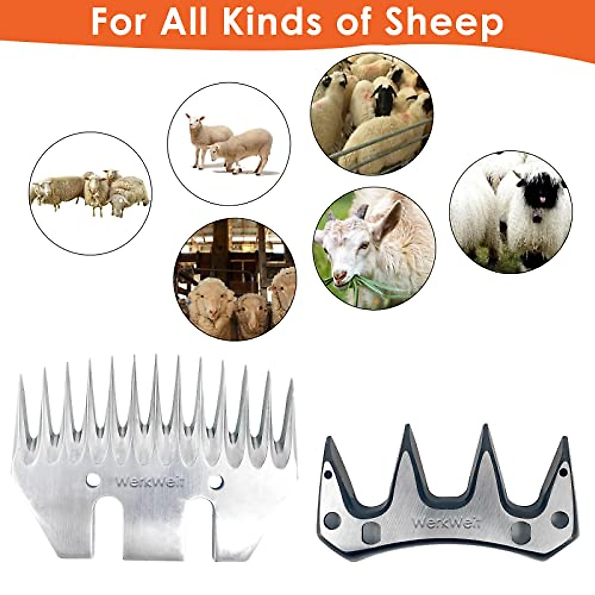 PetierWeit Sheep Shears Blades 2pcs Professional Sheep Clipper Blade Replacement Heavy Duty Stainless Steel Sheep Shears Replacement Blades for Shaving Hair in Sheep, Goats and Pet Livestock