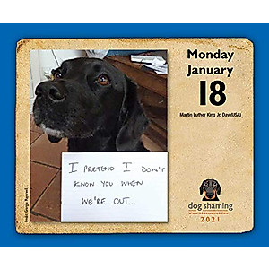 Dog Shaming 2021 Day-to-Day Calendar