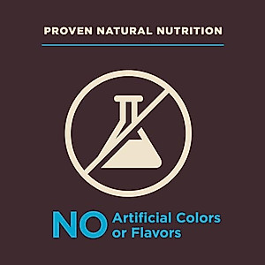 Wellness CORE Digestive Health Dry Dog Food with Wholesome Grains, Highly Digestible, for Dogs with Sensitive Stomachs, Made in USA with Real Protein (Whitefish & Brown Rice, 4-Pound Bag)