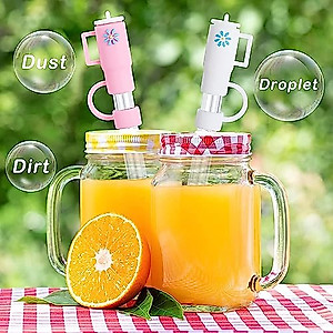 5PCS Straw Cover Cap for Stanley Cup, Silicone Straw Topper fit Stanley 30&40 Oz Tumbler with Handle, 10mm Drinking Straw Tip Covers for Stanley Cups Accessories.