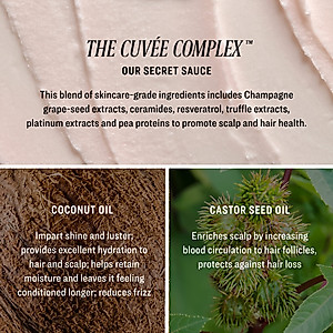 CUVÉE BEAUTY GoBalm Conditioner - 2.36 oz - Solid-to-Liquid Conditioner - Hydrates & Moisturizes Hair - Leak Free, TSA Approved