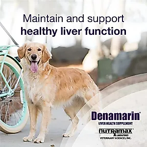 Nutramax Denamarin Liver Health Supplement for Large Dogs - With S-Adenosylmethionine (SAMe) and Silybin, 30Count(Pack of 1)