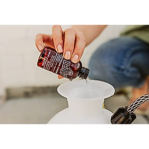 Bengal Insecticide Concentrate, Indoor and Outdoor Insect Killer, Makes 2 Gallons, 2 Oz. Liquid Concentrate