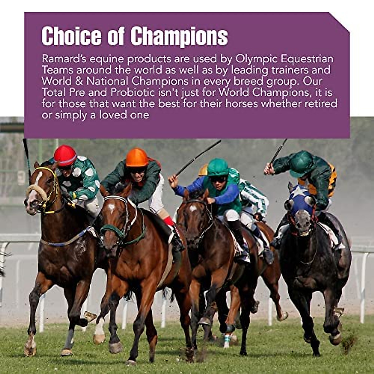 Ramard Total Horse Joint Care Supplements w/Glucosamine, Chondroitin, Chondroitin Sulfate, Vitamin C, & Hyaluronic Acid | Equine Treat & Supplements Supplies | Support for Joints & Tissue 1.12 lbs Jar