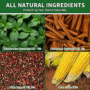 Carmelie Squirrel Repellent, Squirrel Repellent Outdoor, Chipmunk Repellent for Attic with Peppermint Oil to Repel Squirrel, Rodent, Mouse, All Natural Repellent Pouches for Indoor Outdoor, 10 Pouches