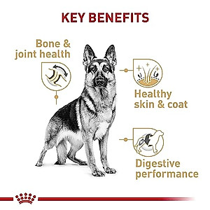 Royal Canin German Shepherd Adult Dry Dog Food, 17 lb bag