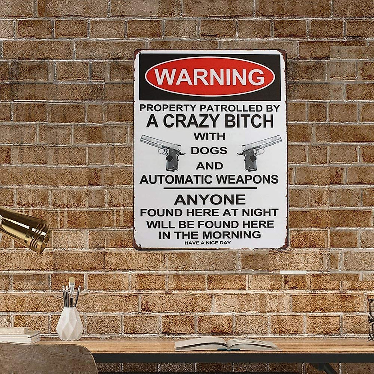 LuckyBamboo Vintage Metal Gun Signs, Property Patrolled by a Crazy Bitch Warning Signs Outdoor Home Yard Street Garden Garage Door Metal Signs