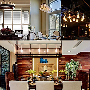 LUXON LED Edison Bulbs Dimmable Amber Glass Warm 2700K Antique Vintage Style Filament Light Bulbs 40W Equivalent E26 Base 6-Pack