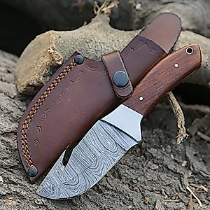 WARIVO KNIFE Hunting knife Full Tang Damascus Gut Hook Knife- EDC 8-inch Gut Hook Skinning knife for Hunting Fixed Blade Knife with Sheath Deer Gutting knives with Rosewood handle