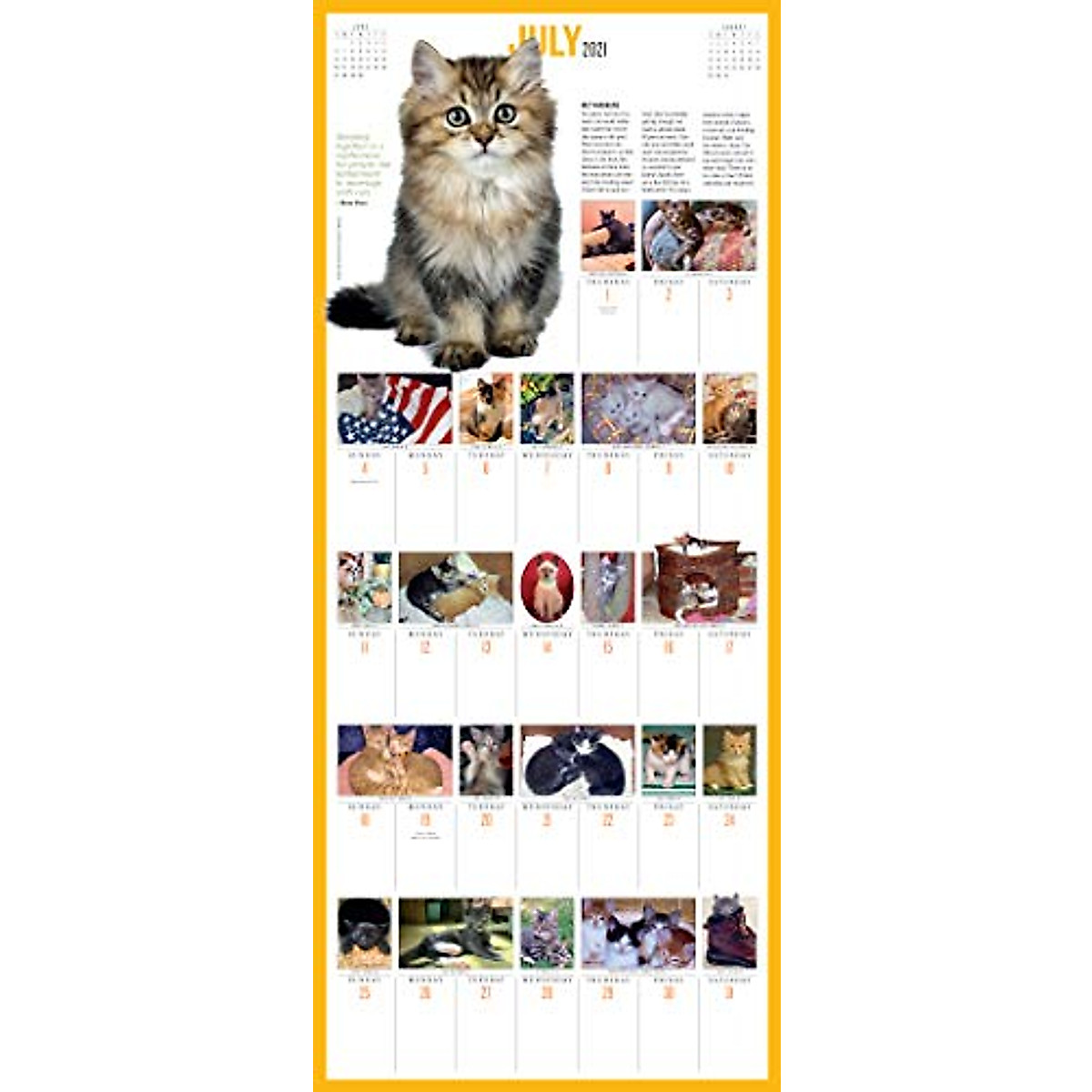365 Kittens-A-Year Picture-A-Day Wall Calendar 2021