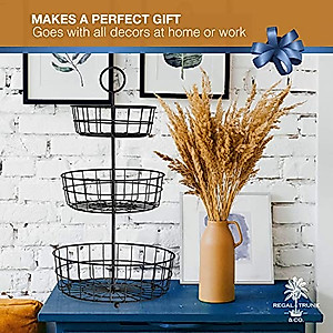 3 Tier Fruit Basket Regal trunk & Co, Elegant French Country Wire Baskets, Three Tiered Wire Basket Stand for Vegetables, Bread & More for Countertop or Hanging, Christmas or Birthday Present