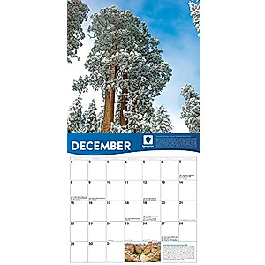 2024 National Park Foundation Wall Calendar: 12-Month Nature Calendar & Photography Collection (Monthly Calendar)