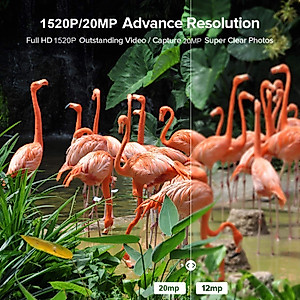 Vikeri Trail Camera, 1520P 20MP Game Camera with Night Vision Motion Activated Waterproof 120°Wide-Angle, 0.2s Trigger Hunting Trail Cam with 48pcs No Glow Infrared LED for Wildlife Monitoring