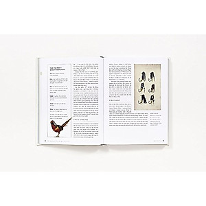 The History of Fly-Fishing in Fifty Flies