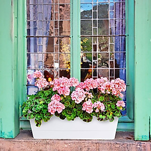 GREANER Flower Boxes, 3 Pack 12x3.8 Inch Rectangle Window Boxes, Herb Planters with Tray, Indoor Succulent Cactus Flowers Plastic Drawable Pot for Windowsill, Garden, Balcony, Office Outdoor (White)