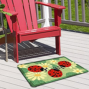 Jellybean Ladybugs Indoor Outdoor Accent Rug