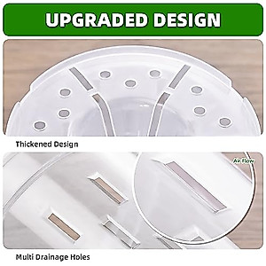 TRUEDAYS 4 Pack Orchid Pot 5 Inch Clear Plastic Plant Pots with Drainage Holes for Indoor Outdoor Plants