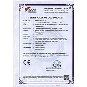 Cloudisk Small Capacity 10 Pack 256MB Micro SD Card in Bulk Pack (NOT GB) with SD Adapter USB Card Reader Memory Card for Small Data, Files, Advertising or Promotion (Too Small for Any Videos)