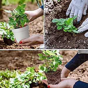 SwinDuck 4 inch Small Plant Pots, 28 Pack Plastic Planters with Drainage Holes and Saucers for Flowers Plants, Succulents, Seed Starting Pots, White
