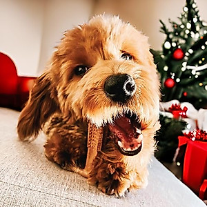 SPOT by Ethical Products 4 in Bambone Plus Easy Grip Peanut Butter, Beef & Chicken Dog Chew Bundle - Bamboo & Nylon Anti Anxiety Bone for Aggressive Chewers & Dental Health for Dogs - Small (4 Pack)